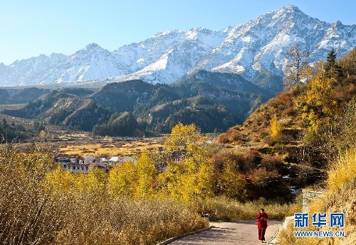 Autumn scenery of Qilian Mountain - Global Times