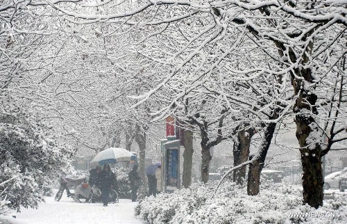 Snowfall hits Beijing, Jinan - Global Times