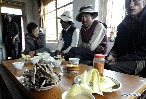 Wool harvesting period in Tibet - Global Times