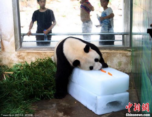 Playing with ice - Global Times