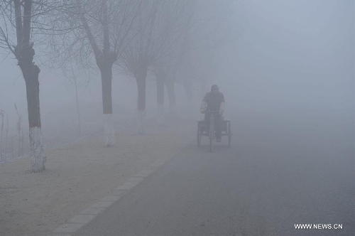 Dense fog envelops cities in China - Global Times
