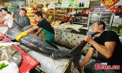 Three-meter-long 'fish king' caught in Qingdao - Global Times