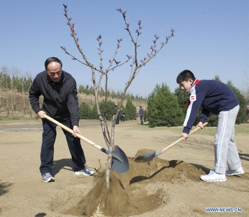 Xi calls for persistent afforestation efforts - Global Times