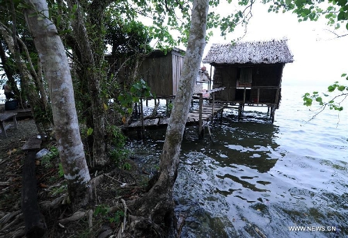 World heritage site: East Rennell in Solomon Islands - TRAVEL ...