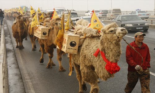 Tea camel trail - Global Times