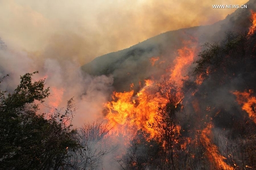 Forest fire rages in SW China's Yunnan - Global Times