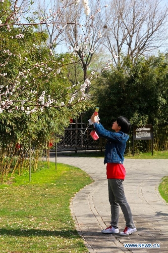 Spring scenery in Beijing's Summer Palace - Global Times
