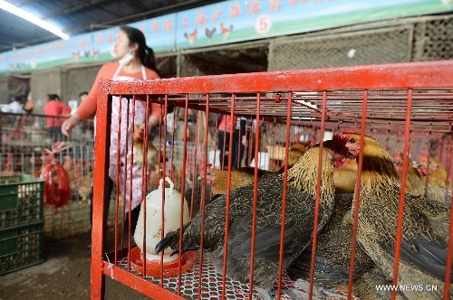Shanghai resumes live poultry trade - Global Times