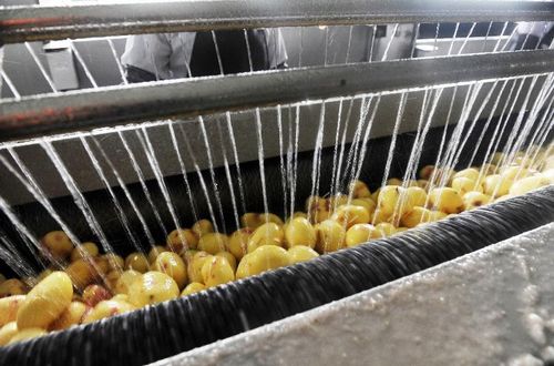 1st stage of potato further processing project completed in a charity ...