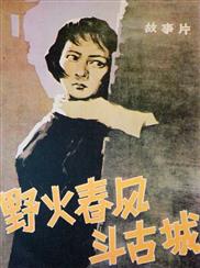 Local literature - Global Times