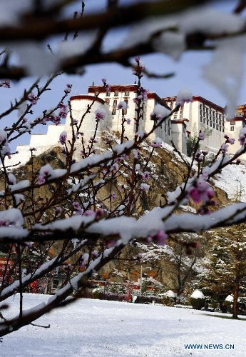 Lhasa sees big snowfall in Spring - Global Times