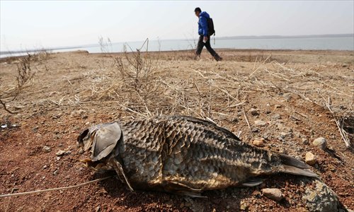 Dried up - Global Times