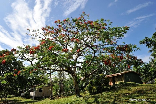 World heritage site: East Rennell in Solomon Islands - TRAVEL ...
