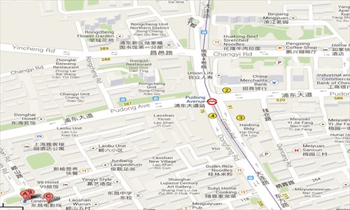 Pudong Avenue Station - Global Times