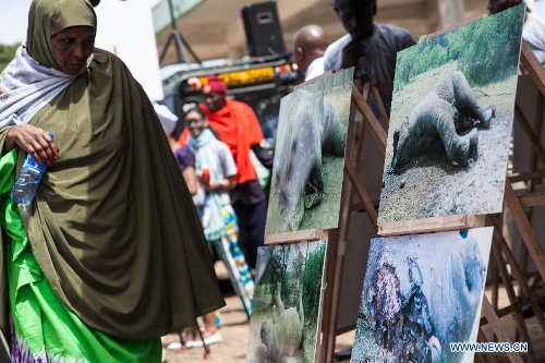 Kenyans protest against poaching of elephants and rhinos - Global Times