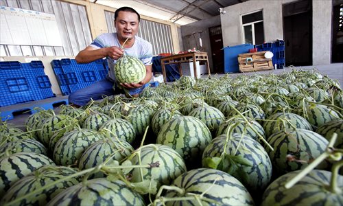 The fruit feeler - Global Times