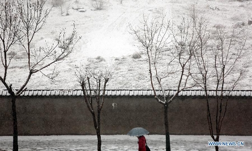 Snow hits Shenyang despite spring coming - Global Times