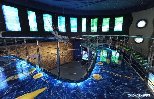 China's Chengjiang Fossil included into World Heritage List - Global Times