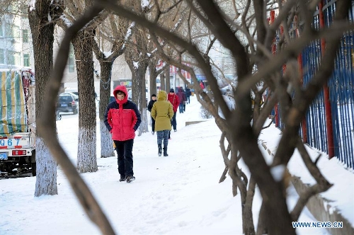 Harbin sees significant temperature drop - Global Times
