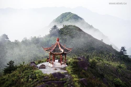 Meihua Mountain Nature Reserve in SE China - Global Times