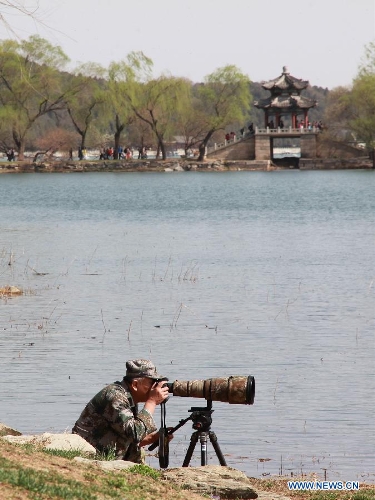 Spring scenery in Beijing's Summer Palace - Global Times