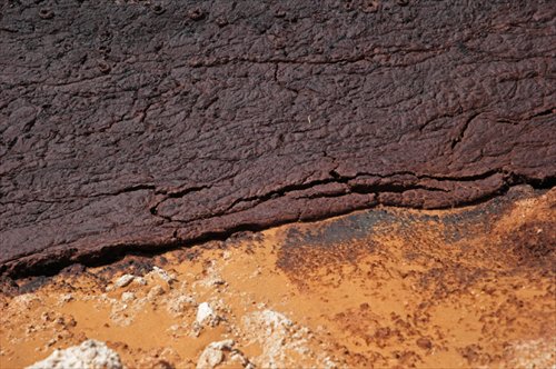 Oasis of pollution - Global Times