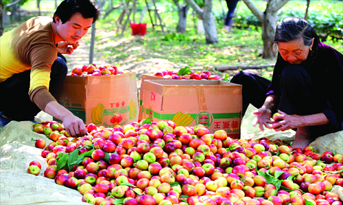 Getting ripe - Global Times