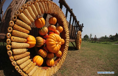 Pumpkin Festival to be held in E. China - Global Times