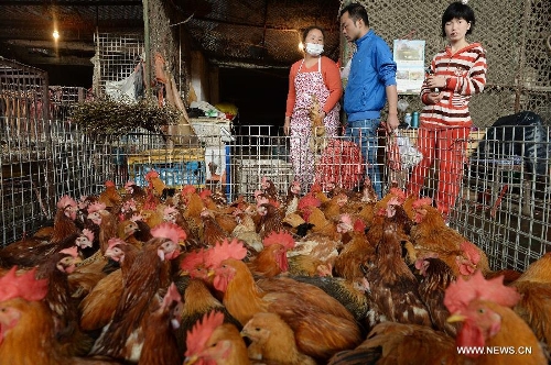 Shanghai resumes live poultry trade - Global Times