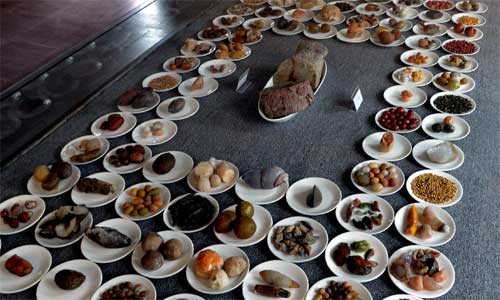 Rare stones exhibition held in China's Henan - Global Times
