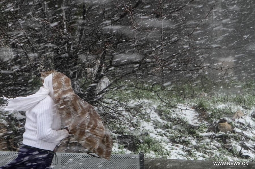 Snowfall hits Middle East - Global Times