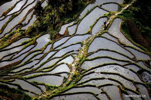 Scenery of terraced fields in central China - Global Times