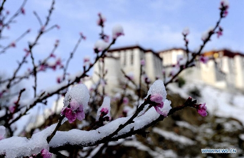 Lhasa sees big snowfall in Spring - Global Times