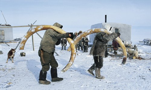 Notes on nomads - Global Times