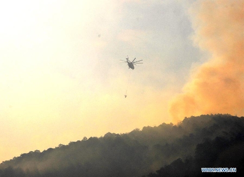 Forest fire breaks out in Sichuan, SW China - Global Times