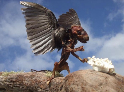 Weird stuffed animals - Global Times