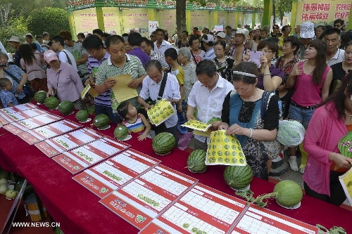 Watermelon weighing 50 kilograms takes the crown - Global Times