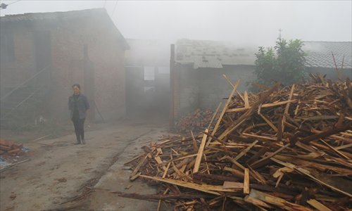 Putting an end to green corruption - Global Times