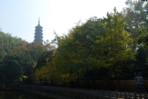 Tiantong Temple in China's Ningbo - Global Times