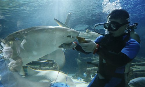 Snack attack - Global Times