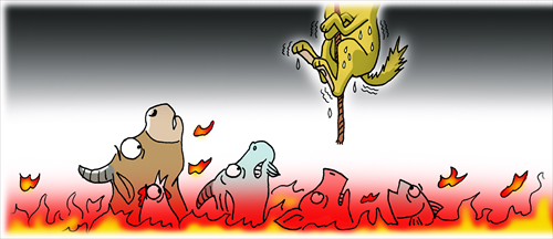 Dog meat festival sparks culture clash - Global Times
