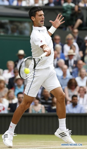 Djokovic beats Federer in Wimbledon 2015 men's singles final - Global Times