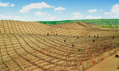 Man-made oasis - Global Times