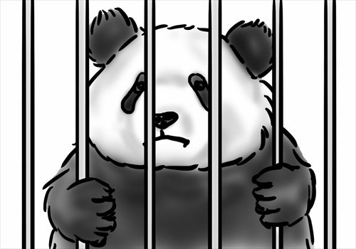 A zoo snob in search of a panda - Global Times