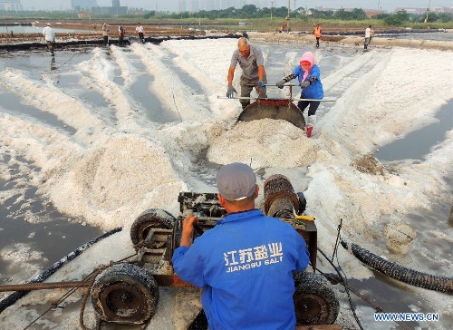 Crude salt harvested in East China - Global Times
