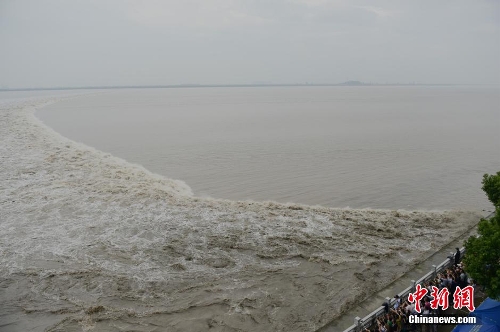 Amazing surging tide of Qiantang River - Global Times