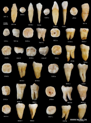 Teeth reveal that modern humans lived in Asia 80,000 years ago - Global ...