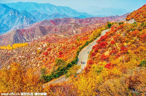 Top 10 places to see autumn leaves in China - Global Times