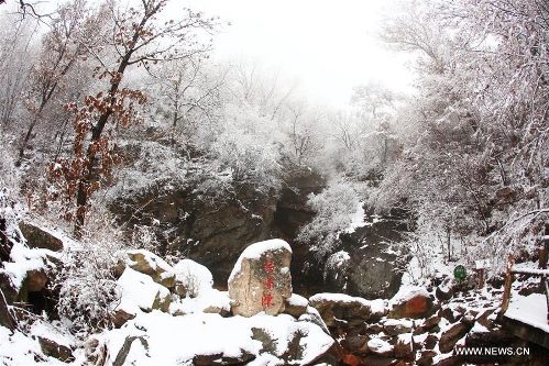 Enjoy snow scenery in Tianjin - Global Times