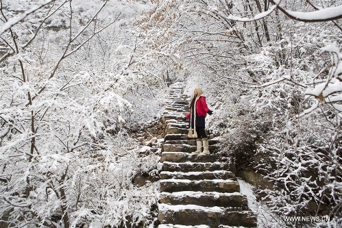 Enjoy snow scenery in Tianjin - Global Times